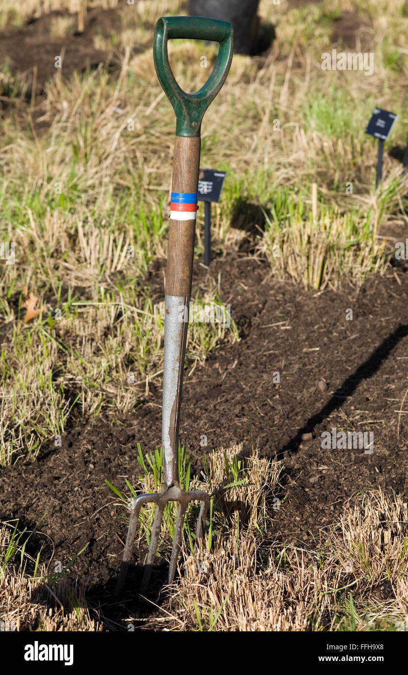 Lawn care fork hi-res stock photography and images - Alamy