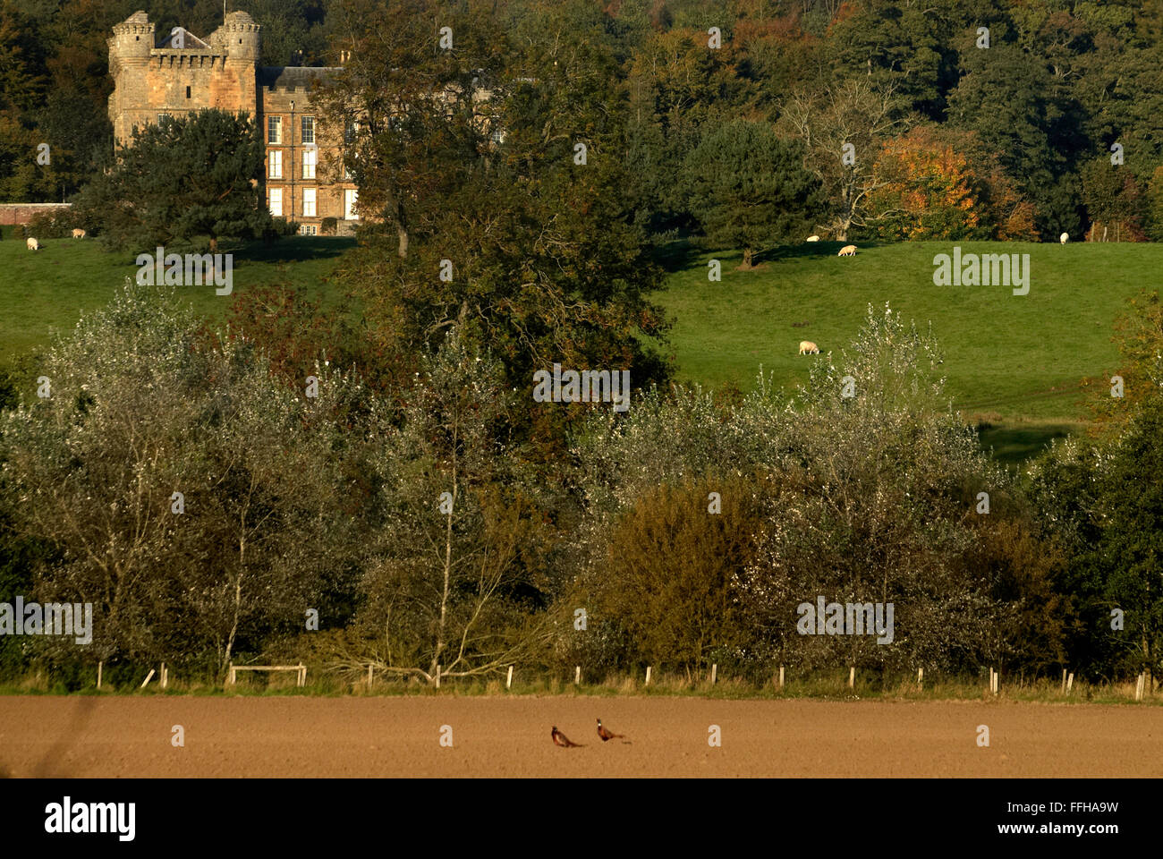 Chipchase castle, Northumberland Stock Photo - Alamy