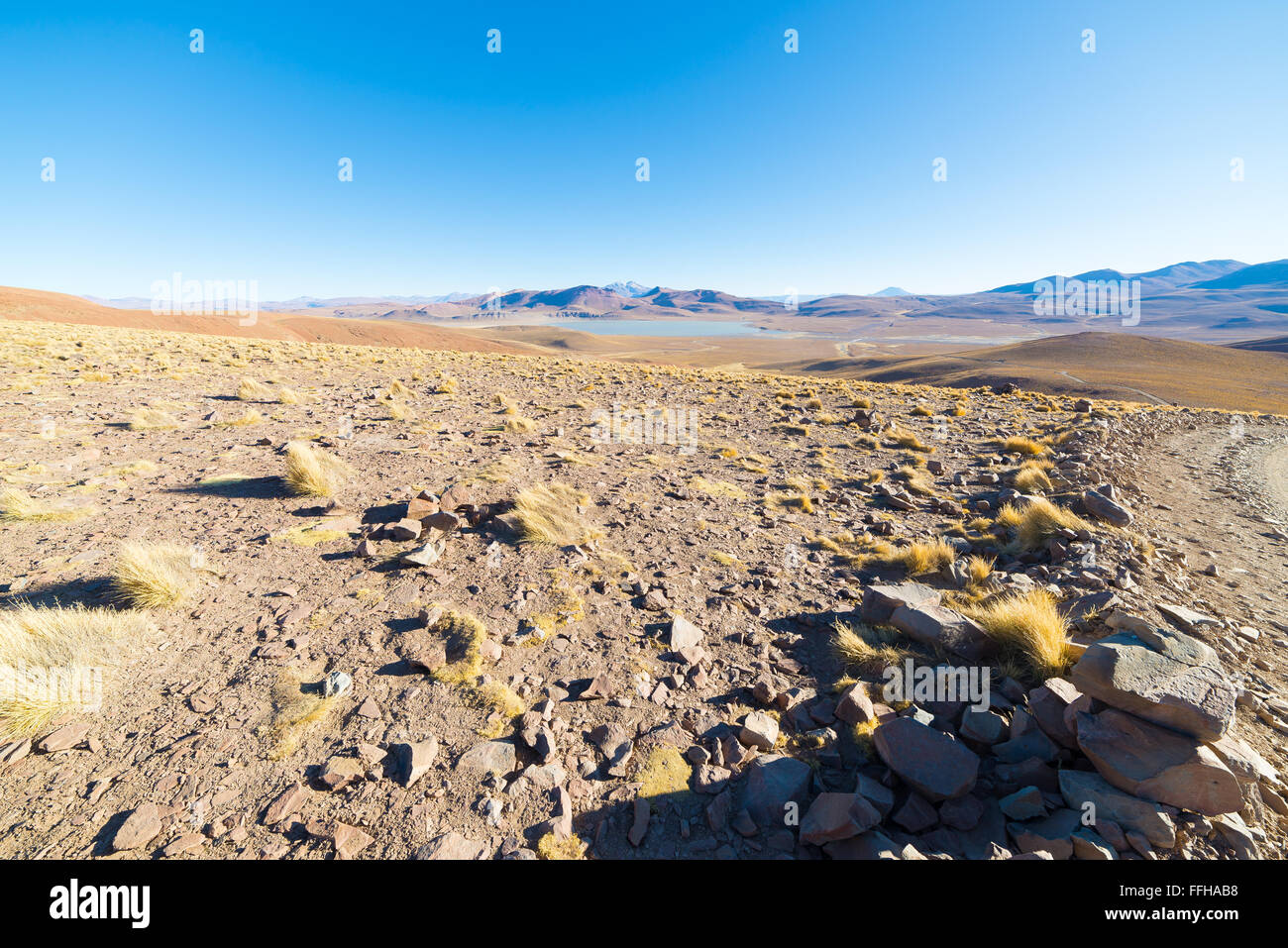 High altitude barren highlands of the Andes, among the most important ...