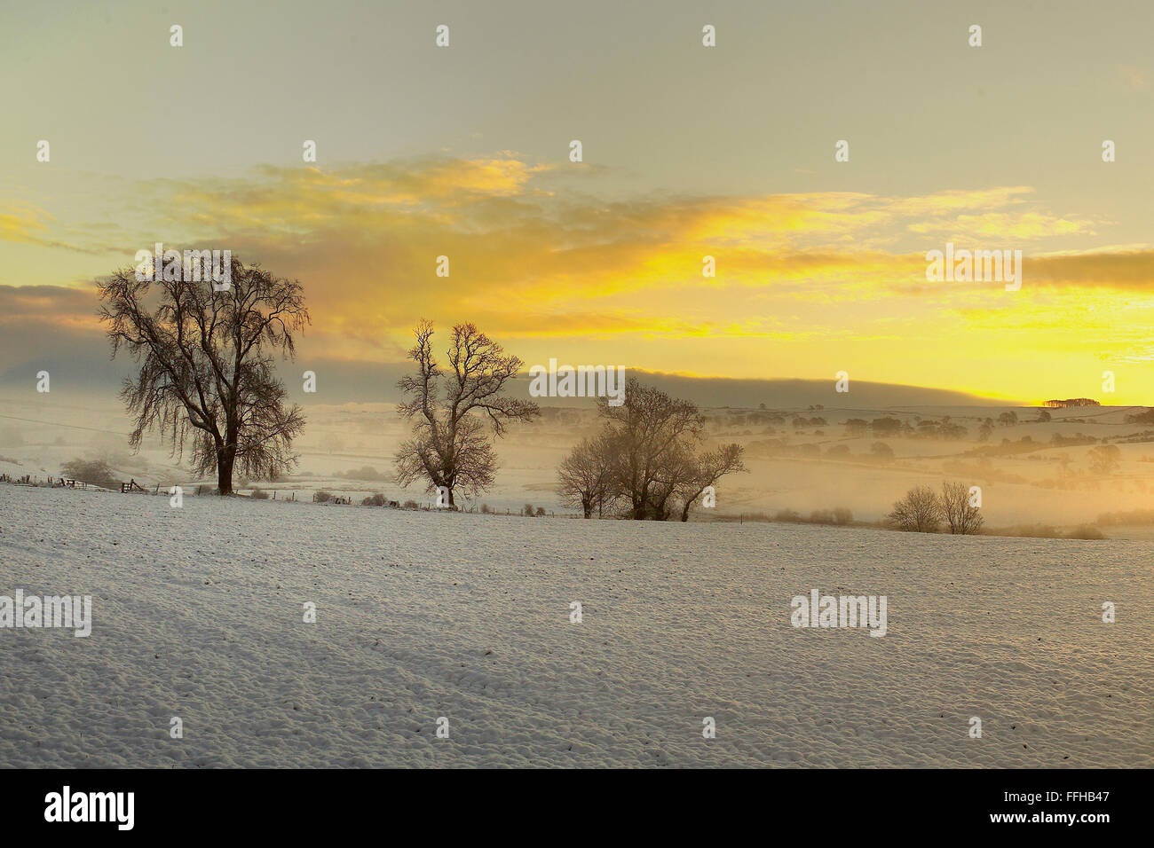Snowy sunrise, Chollerton, Northumberland Stock Photo - Alamy