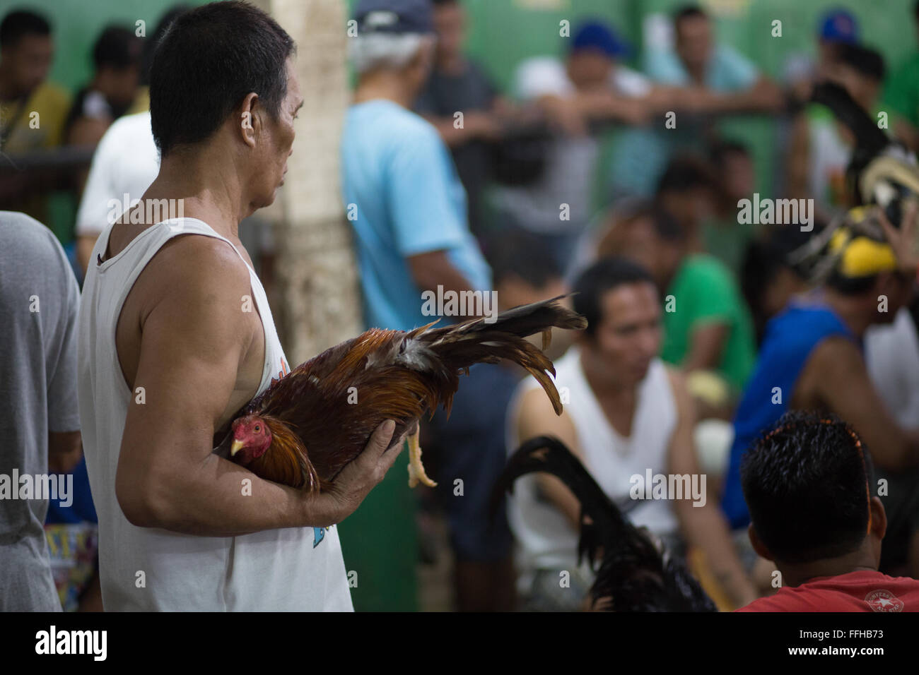 Mandaue Cockpit,Cebu City,Philippines 14/02/2016.Within the Philippines ...