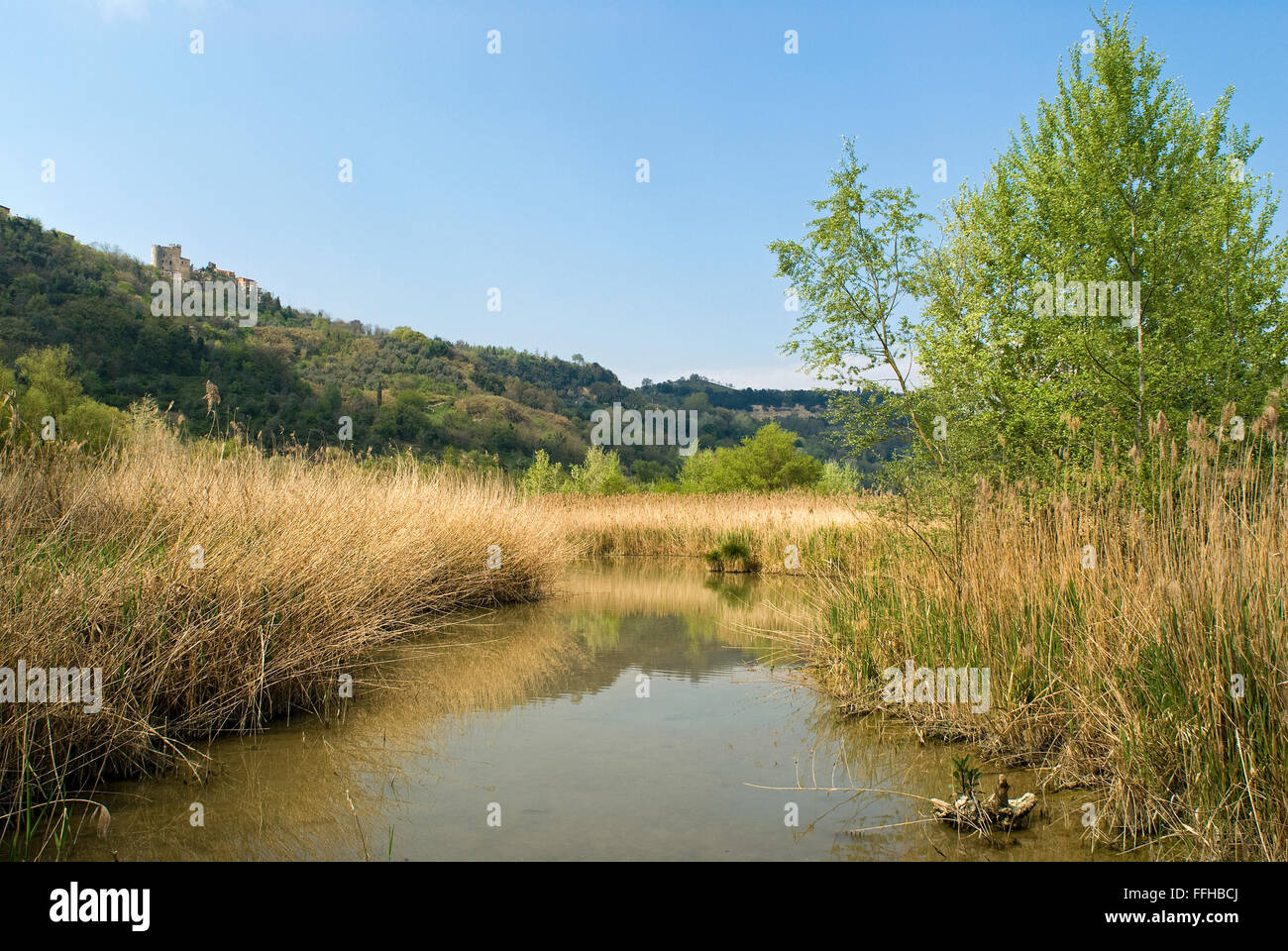 Tiber river regional nature reserve hi-res stock photography and images ...