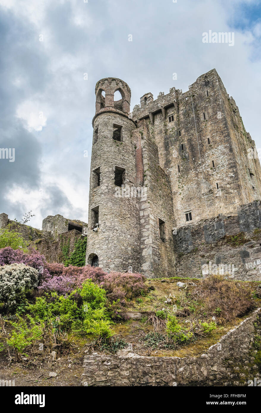 The blarney stone hi-res stock photography and images - Alamy