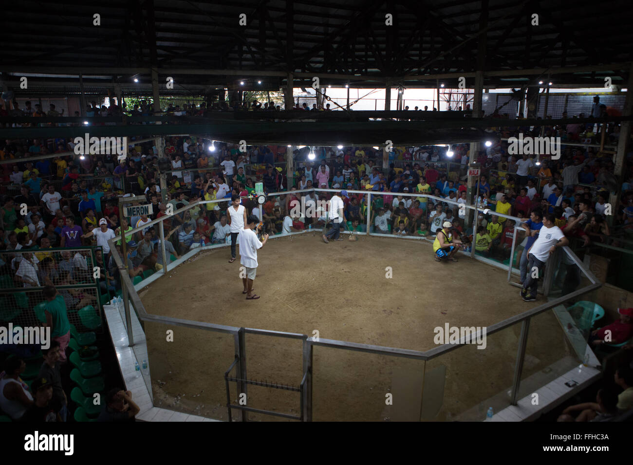 Mandaue Cockpit, Cebu City, Philippines. 14th Feb, 2016. Within the ...