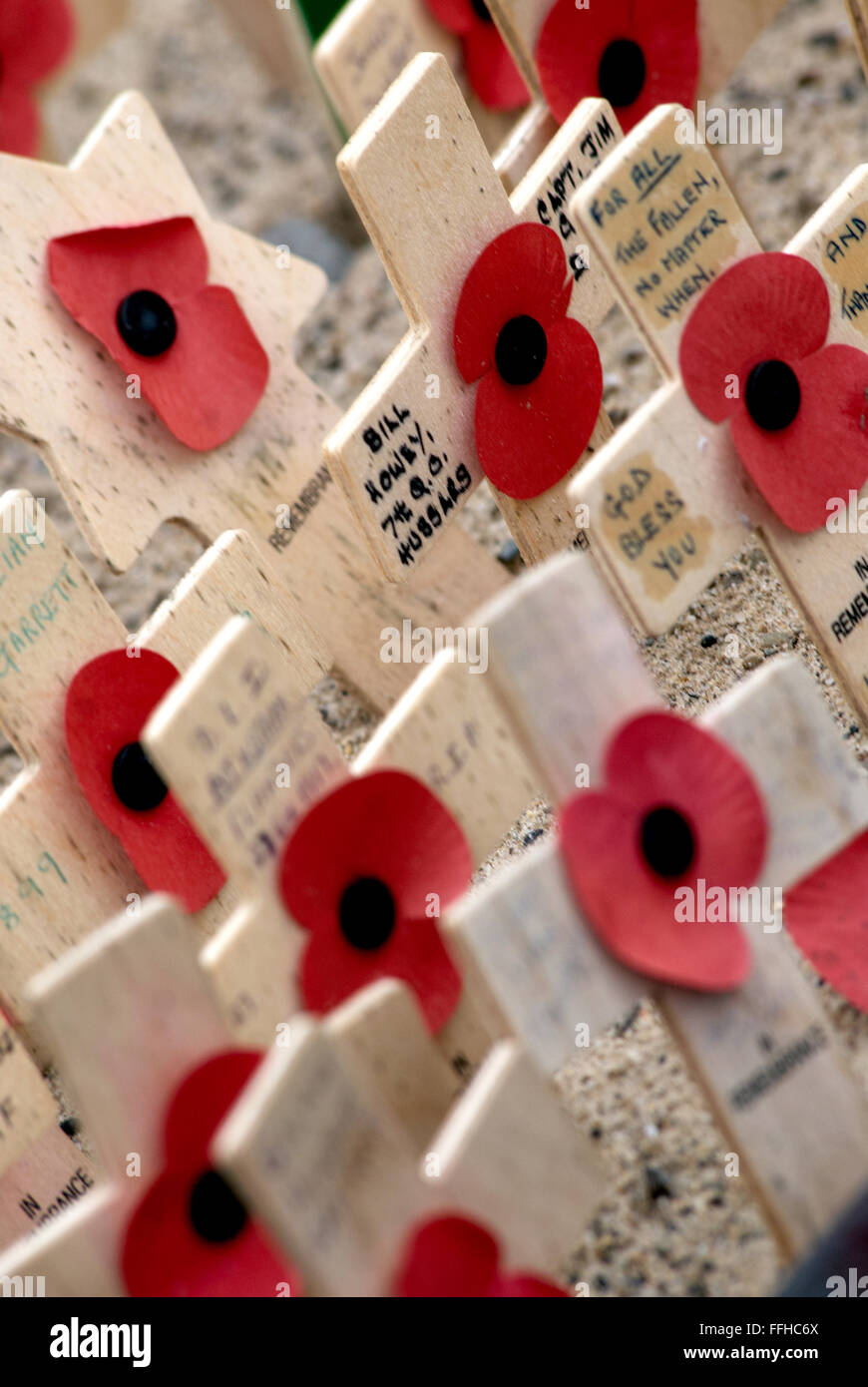 Ww1 remembrance poppies hi-res stock photography and images - Alamy