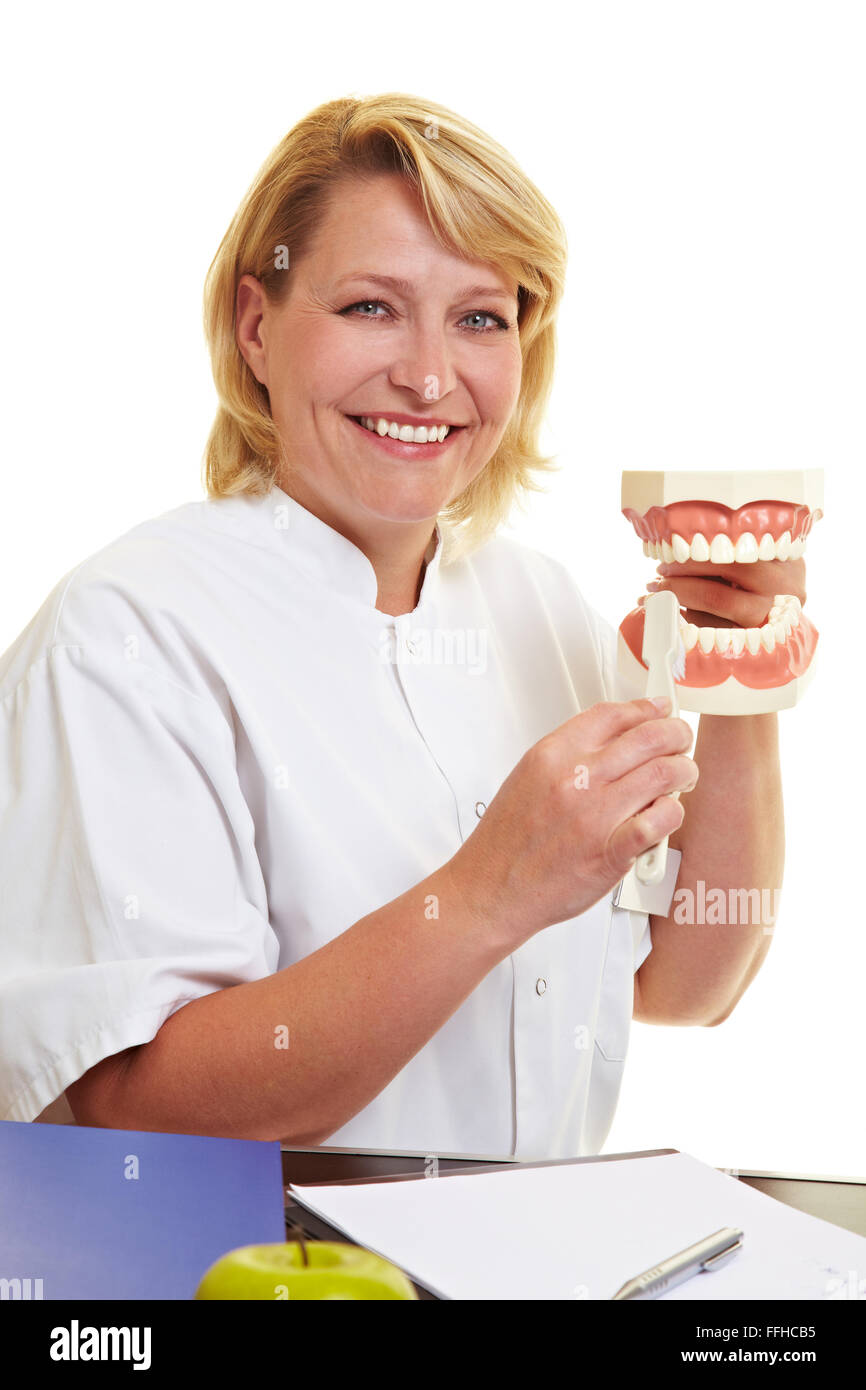 Dentist explaining how to brush teeth with teeth model Stock Photo - Alamy