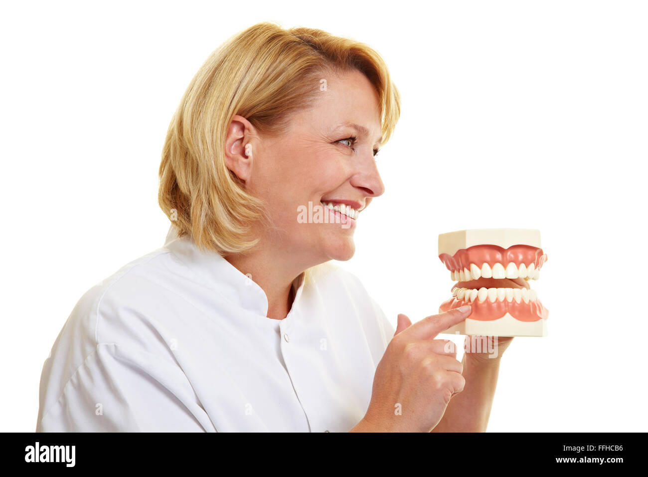 Happy female dentist showing oversized teeth model Stock Photo - Alamy