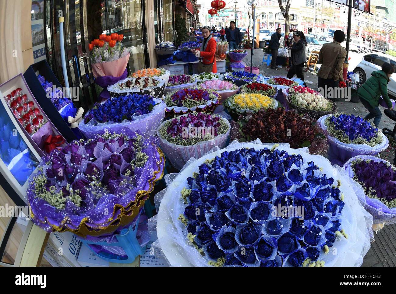 Kunming, China's Yunnan Province. 14th Feb, 2016. Roses of different ...