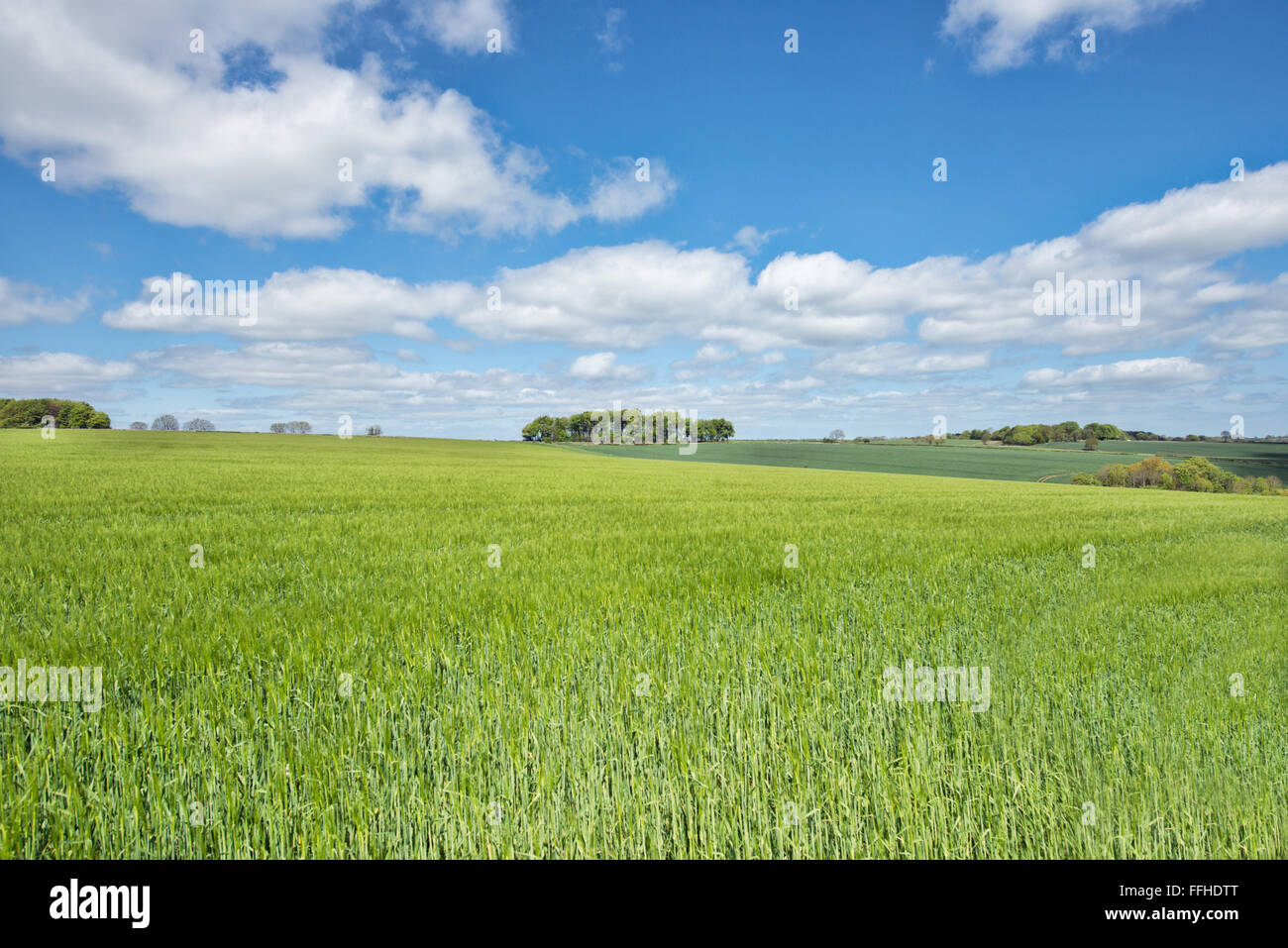 View across the fields hi-res stock photography and images - Alamy