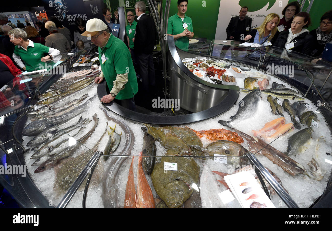 Bremen, Germany. 14th Feb, 2016. Fresh fish at the "Fish International ...