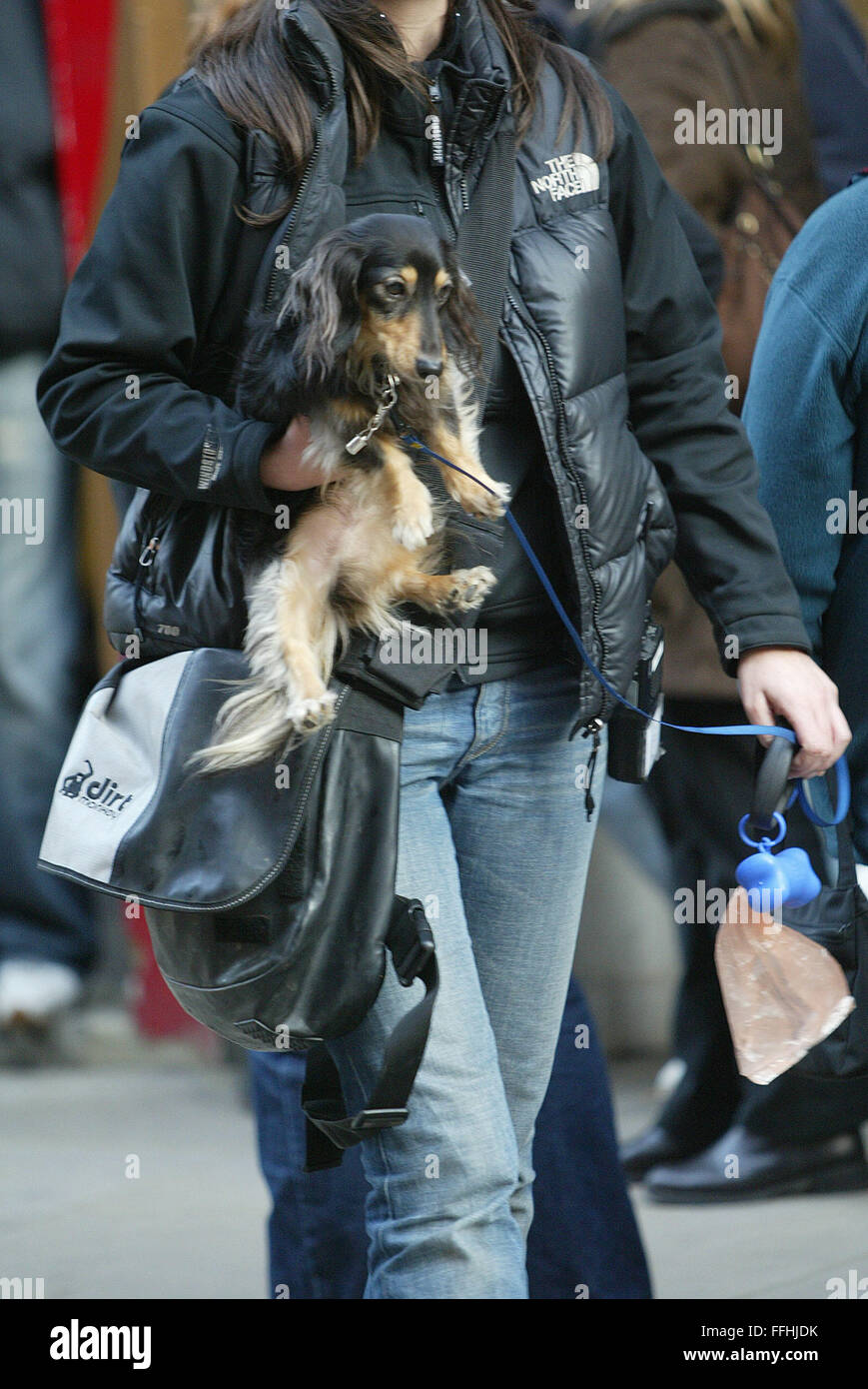 Martin Freemans Dog Archie Looked after while he is filming The Good ...