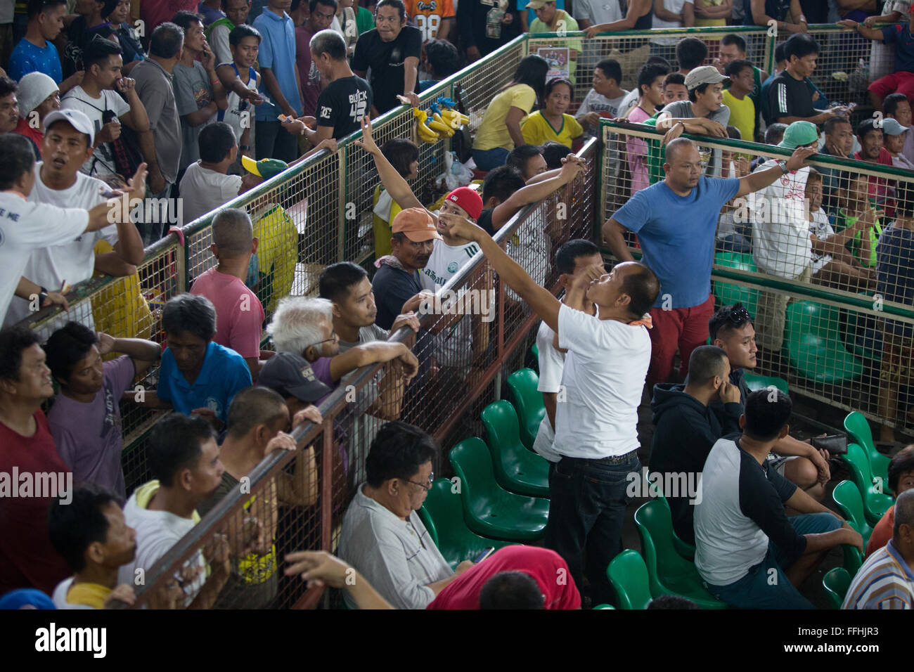 Mandaue Cockpit, Cebu City, Philippines. 14th Feb, 2016. Within the ...
