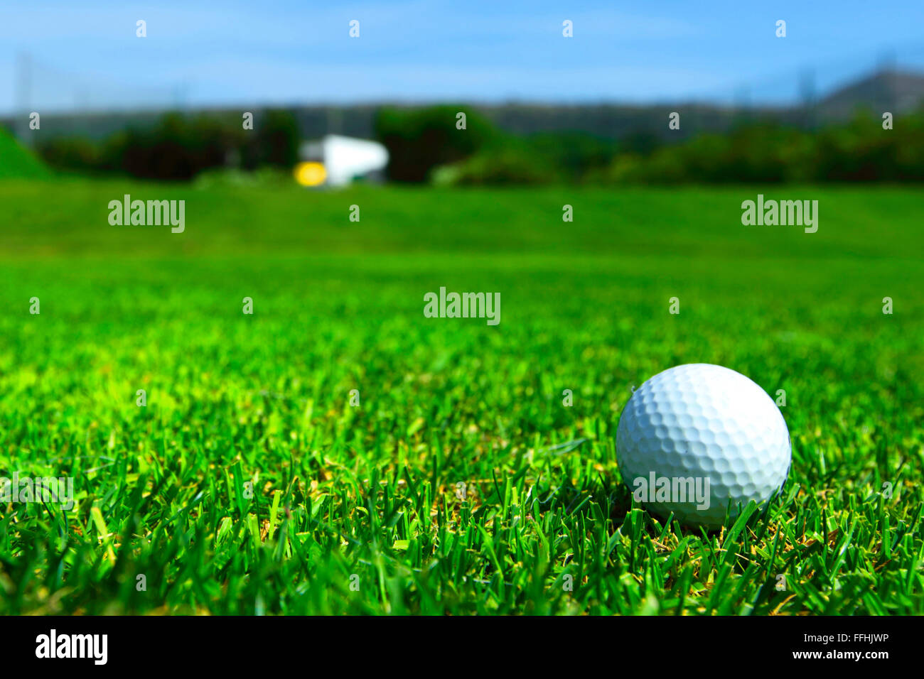 golf-ball on course Stock Photo - Alamy