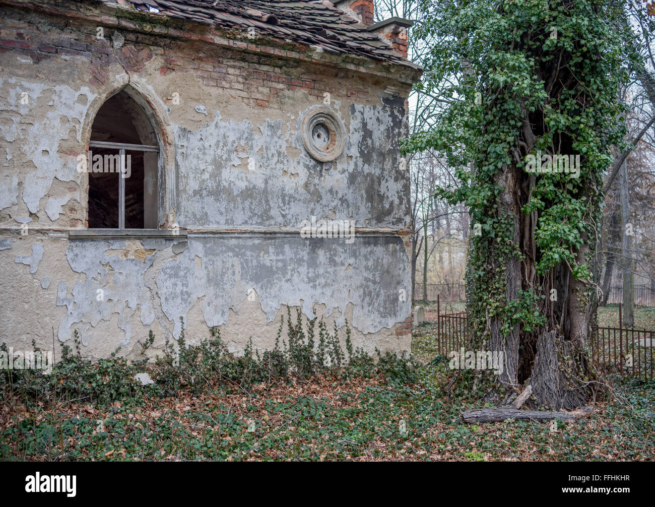 Ruined cemetery Bagieniec Teichenau Lower Silesia von Zedlitz Stock ...