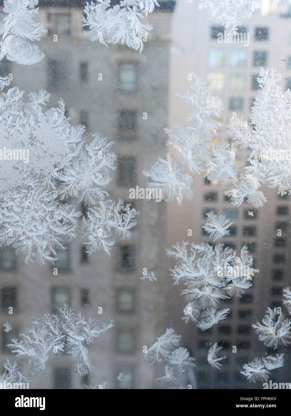 New York City, New York, USA. 14th Feb, 2016. Icy window as big freeze ...