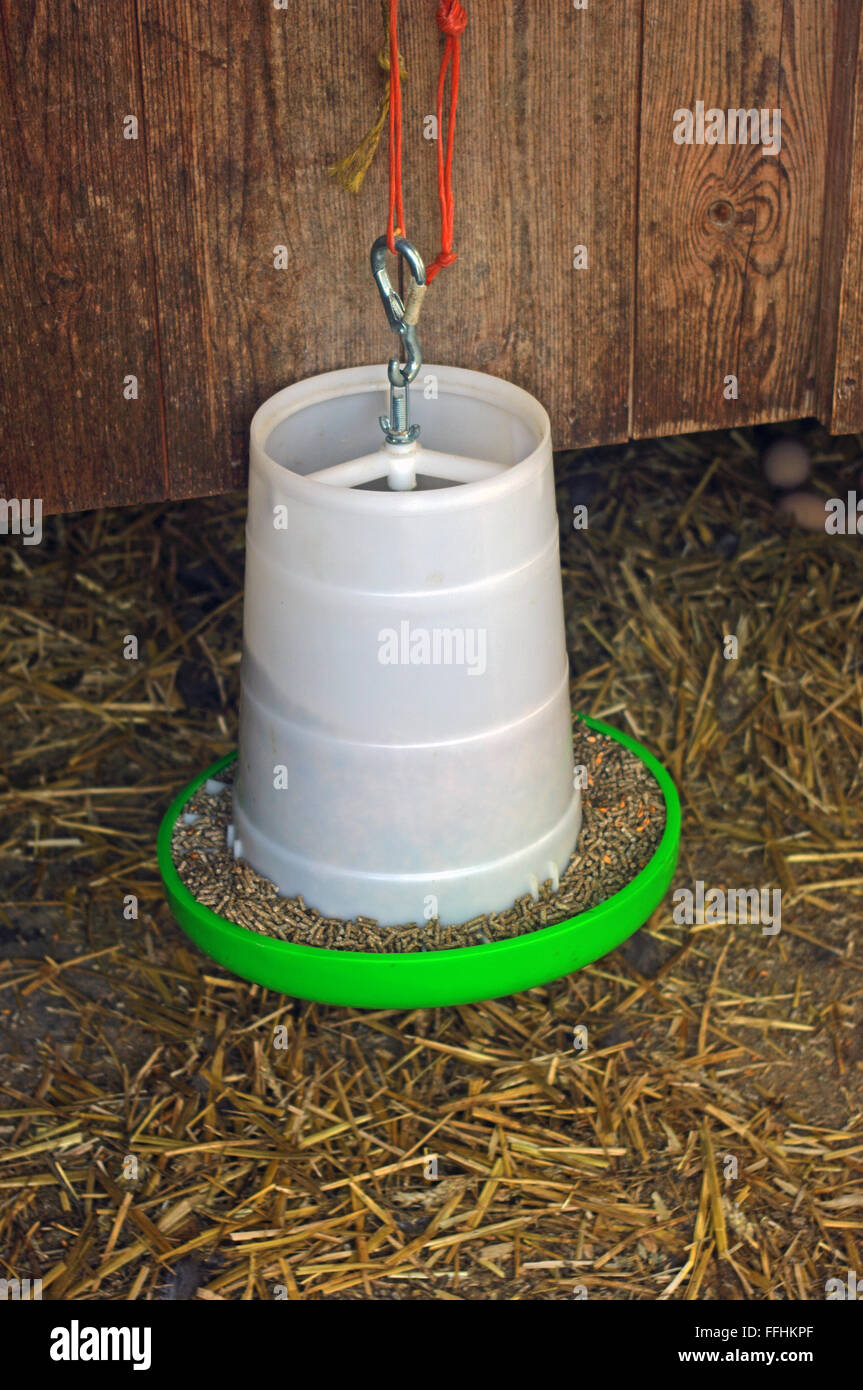 Chicken feeder hi-res stock photography and images - Alamy
