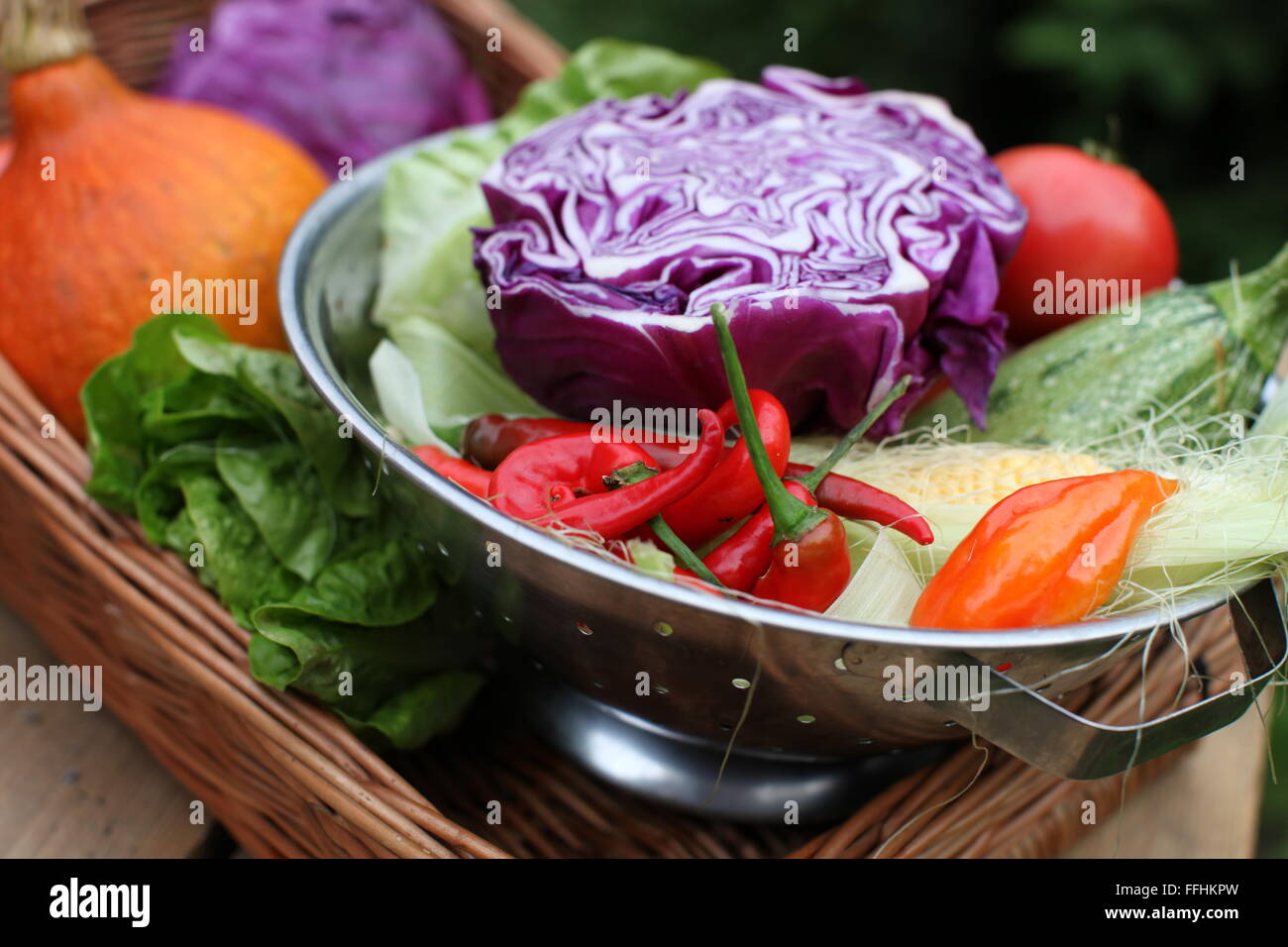 Coloured cob hi-res stock photography and images - Alamy
