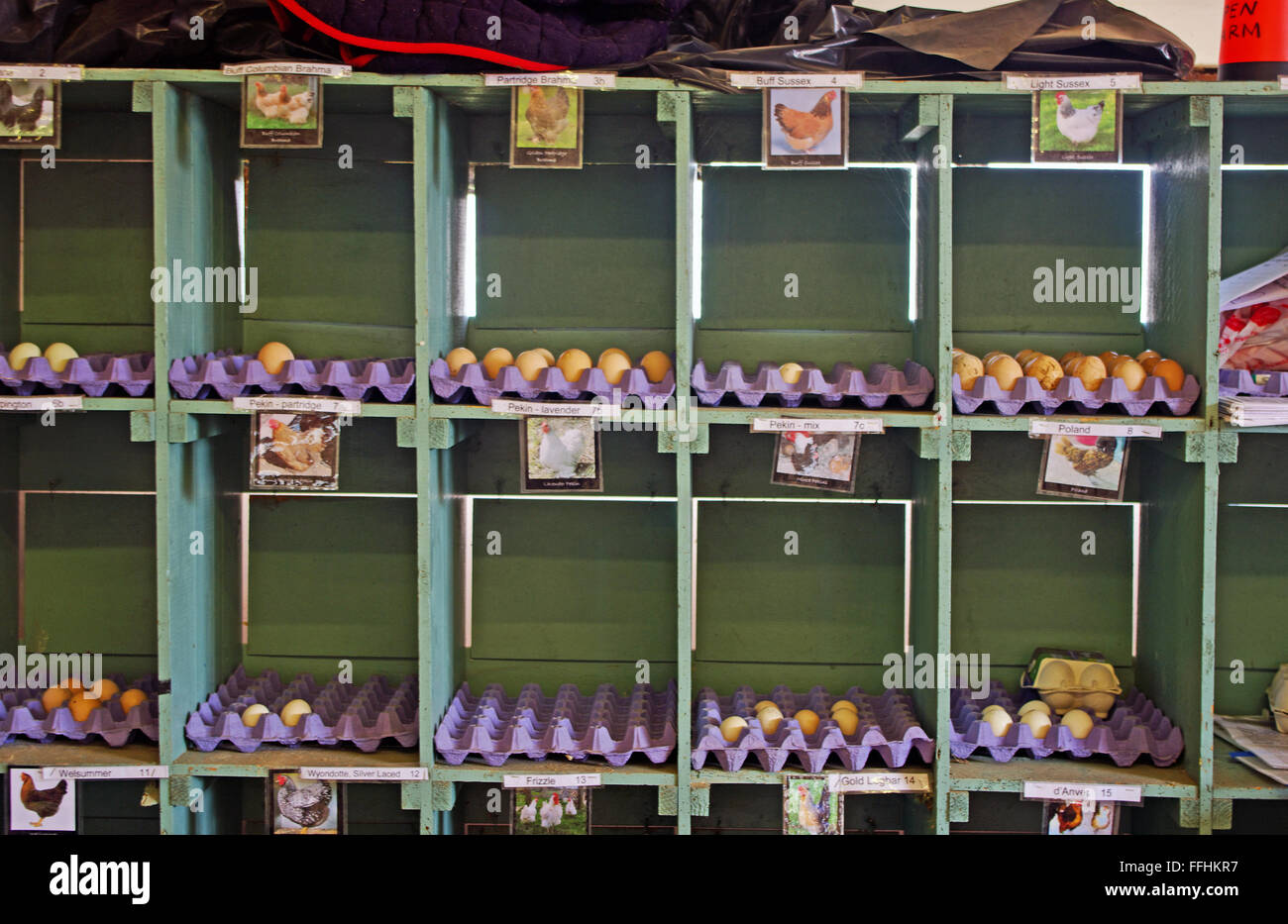 Chicken Egg Box Storage Stock Photo - Alamy