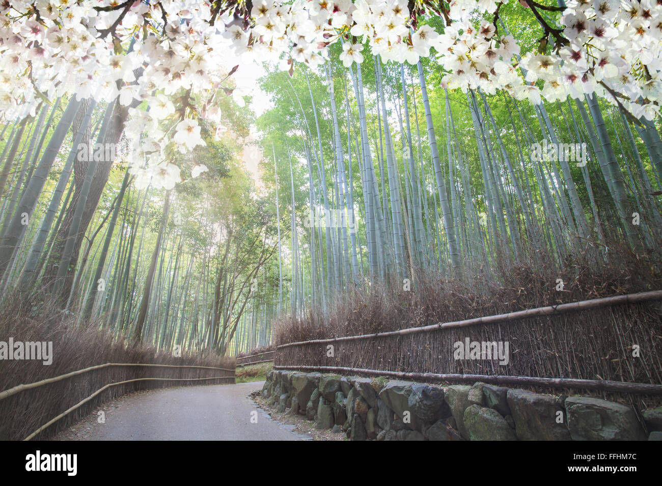 The Blossoming cherry trees in an garden, pastel colors with dreamy ...