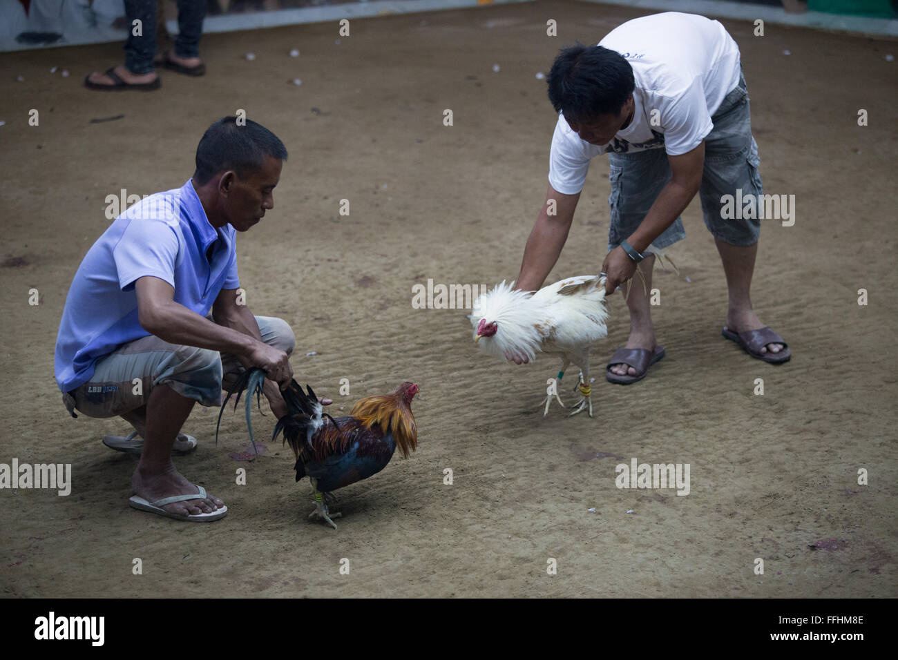 Mandaue Cockpit,Cebu City,Philippines 14/02/2016.Within the Philippines ...