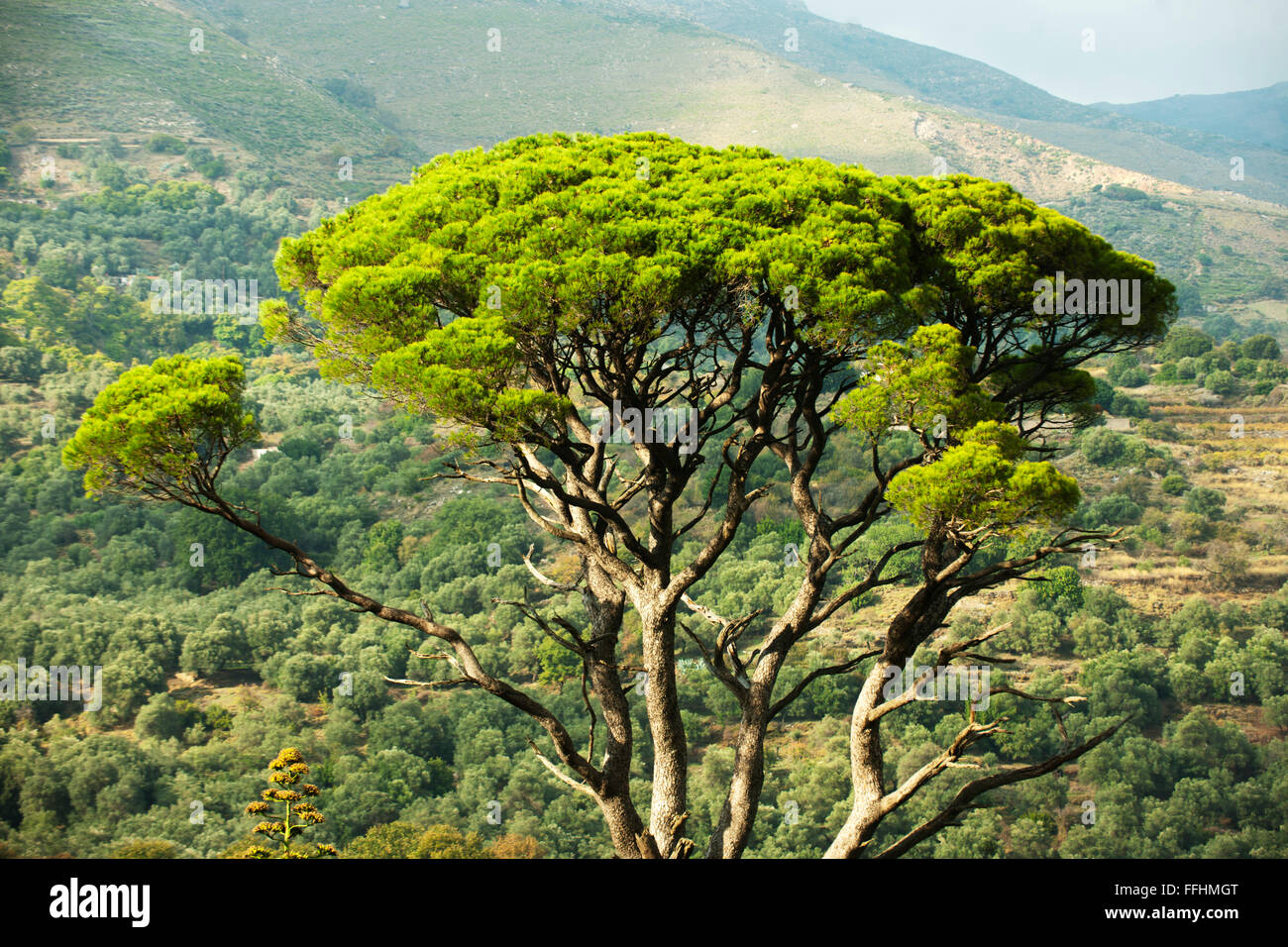 Elos crete hi-res stock photography and images - Alamy
