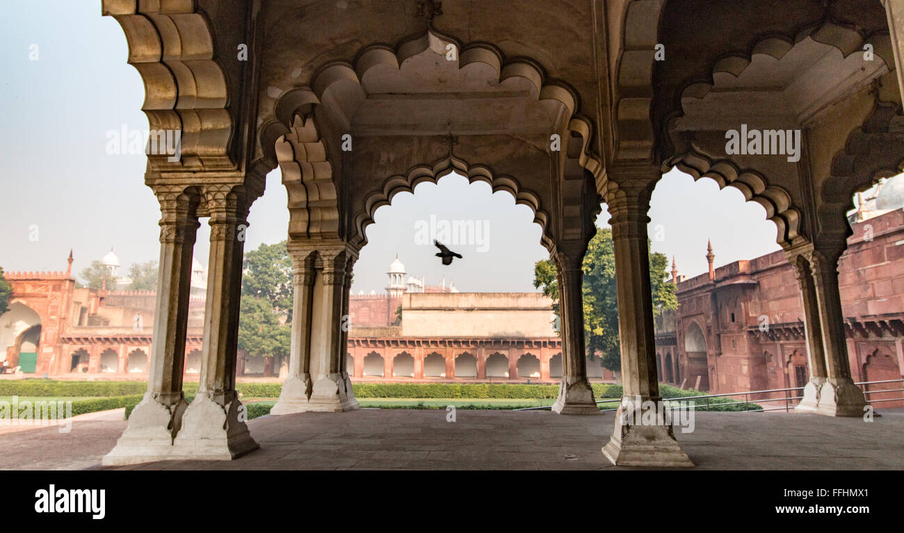 Momentary hi-res stock photography and images - Alamy