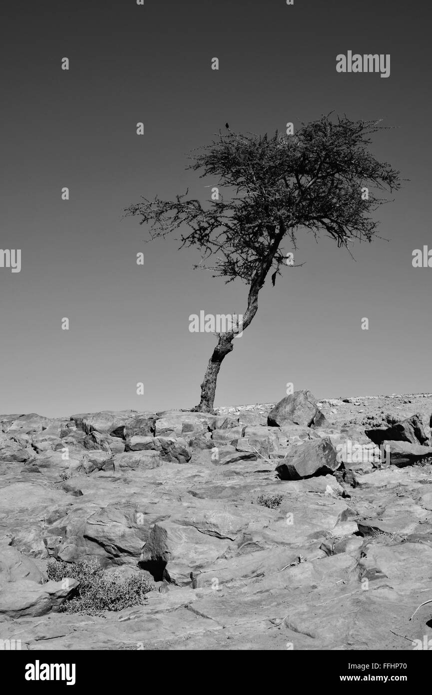 Dune morocco africa blue Black and White Stock Photos & Images - Alamy