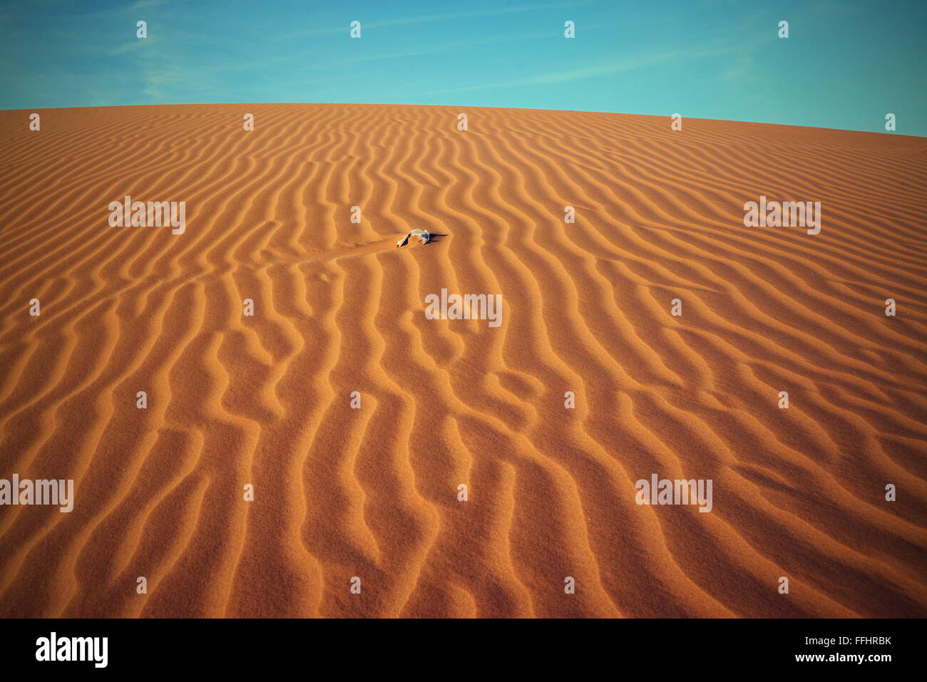 sand Sahara desert in Morocco near Mhamid Stock Photo - Alamy