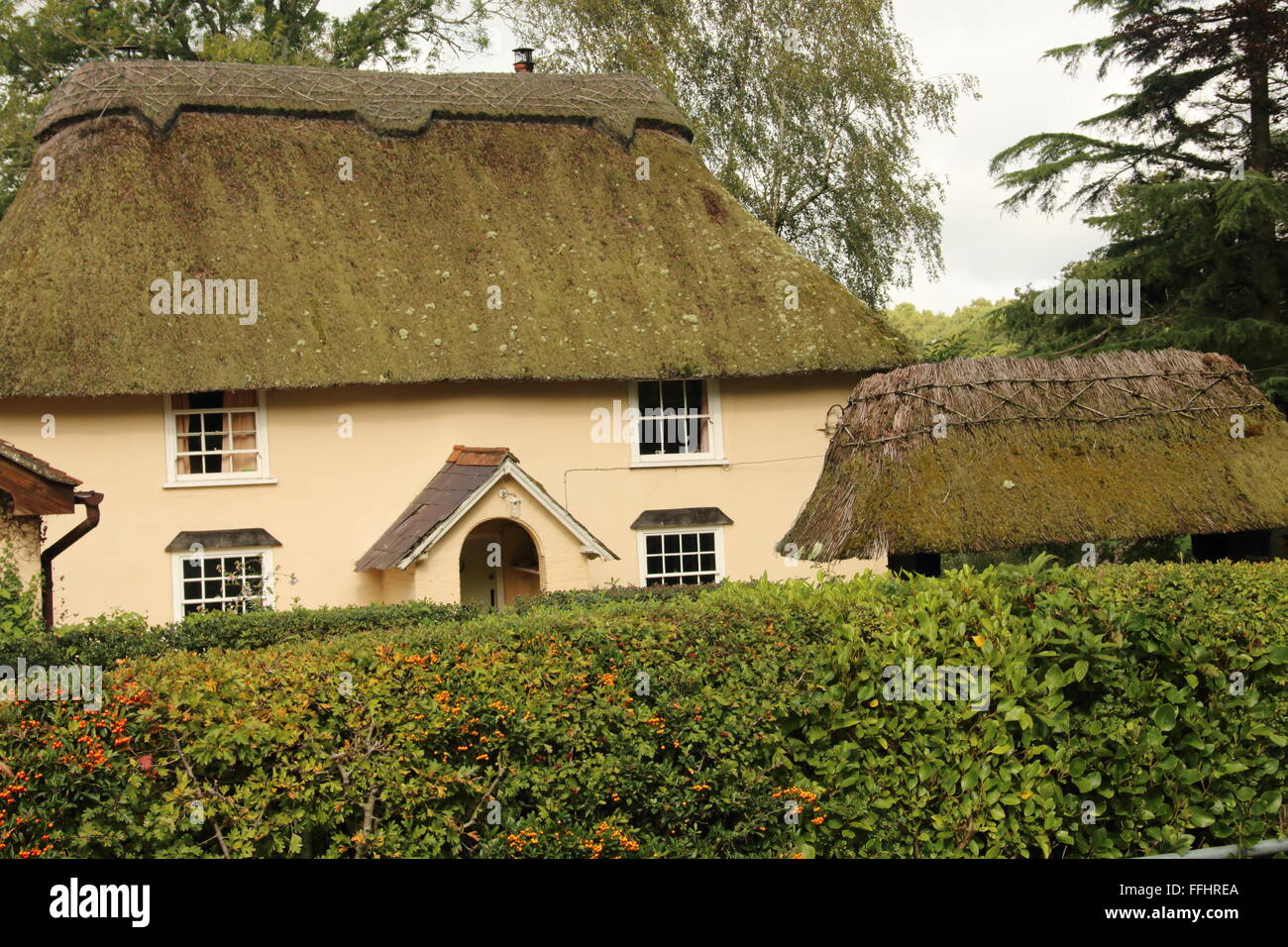 Painted thatched house,Dorset,UK Stock Photo - Alamy
