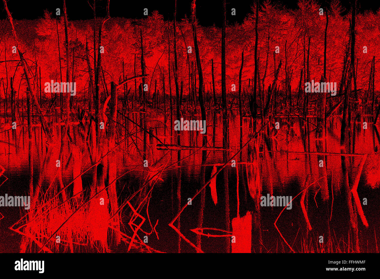 Forest pond, lake , swamp on fire red and black art Stock Photo - Alamy