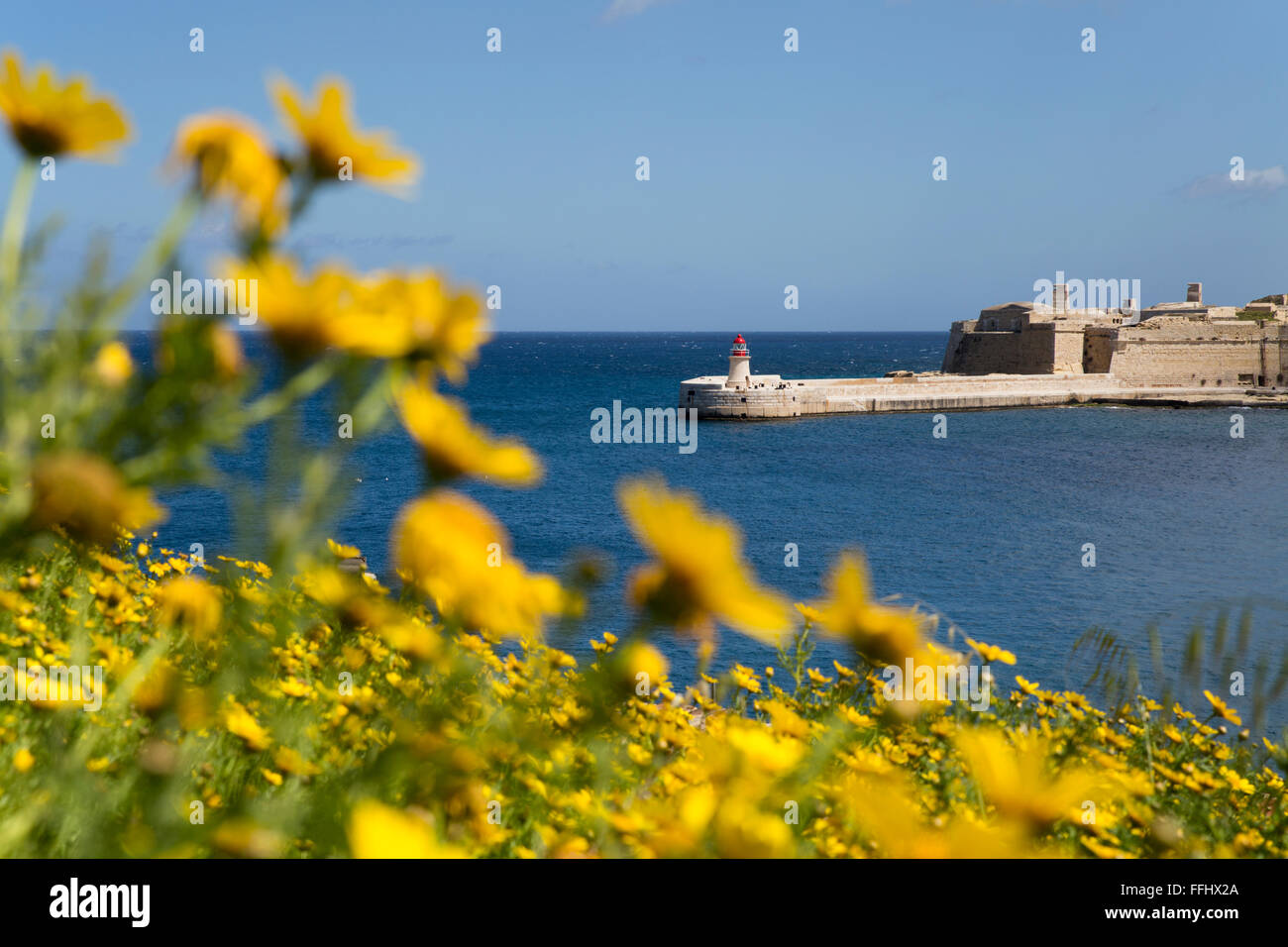 View trough yellow flowers on one of the lighthouses in Valletta, Malta ...