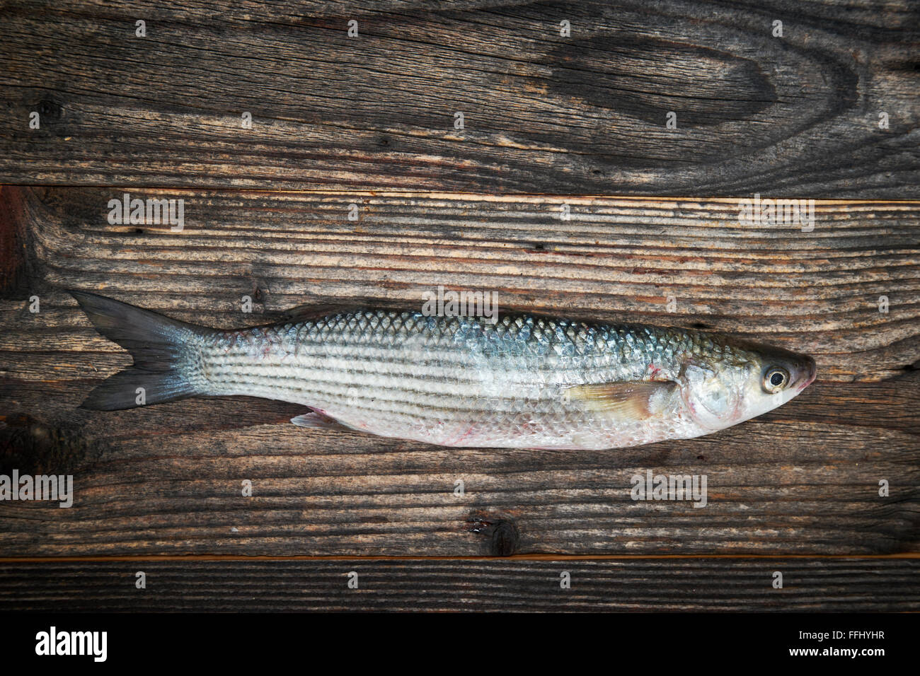 Raw fish (Mugil cephalus) over wooden background, top view Stock Photo ...