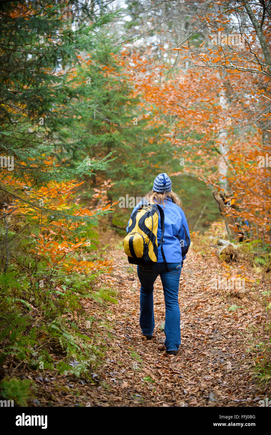 A women hikes along a trail in the Allegheny Mountains near Canaan ...