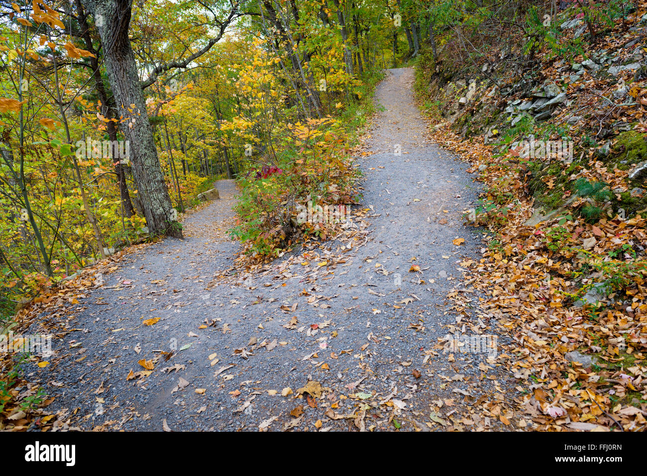 Seneca Rocks State Park, West Virginia, USA Stock Photo - Alamy