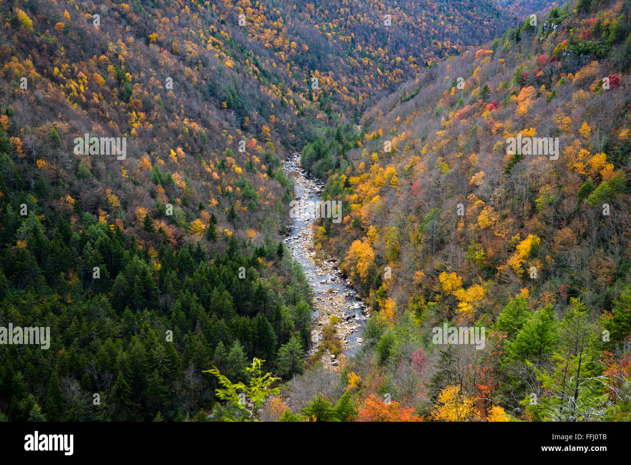 Blackwater river gorge, Blackwater State Park, Davis, West Virginia ...