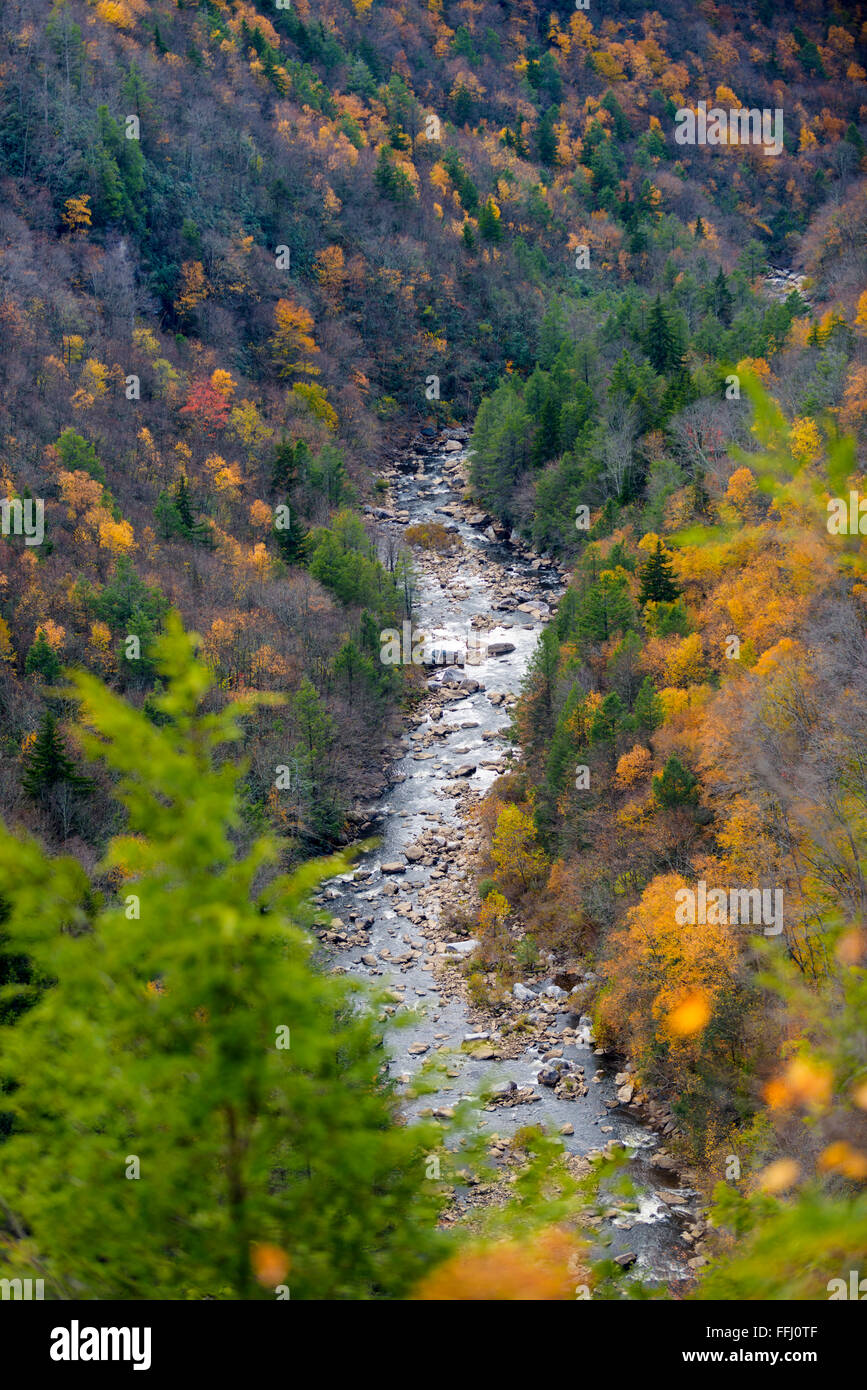 Blackwater river gorge, Blackwater State Park, Davis, West Virginia ...