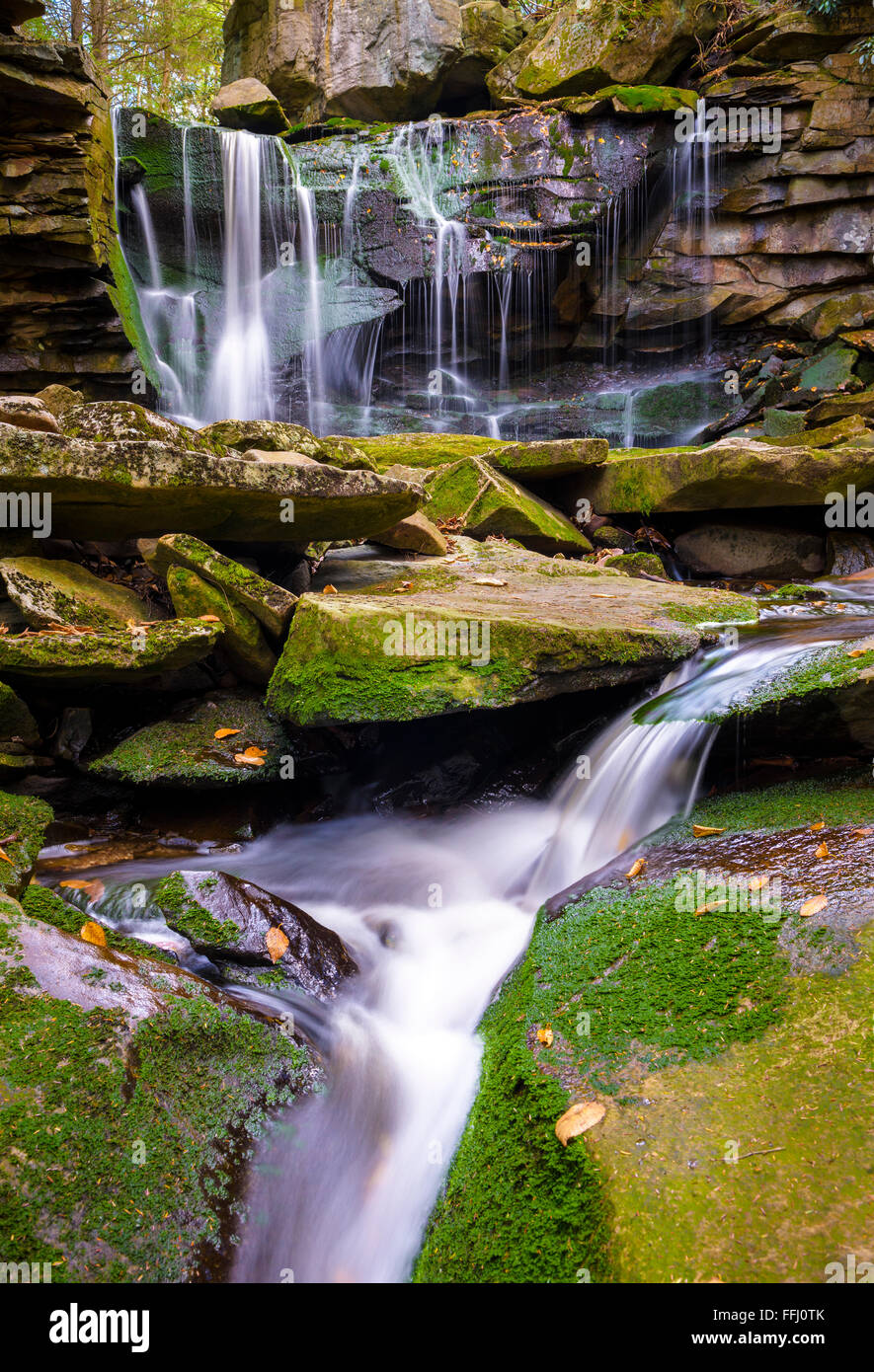 Elakala Falls on Shays Run, Blackwater Falls State Park David West ...