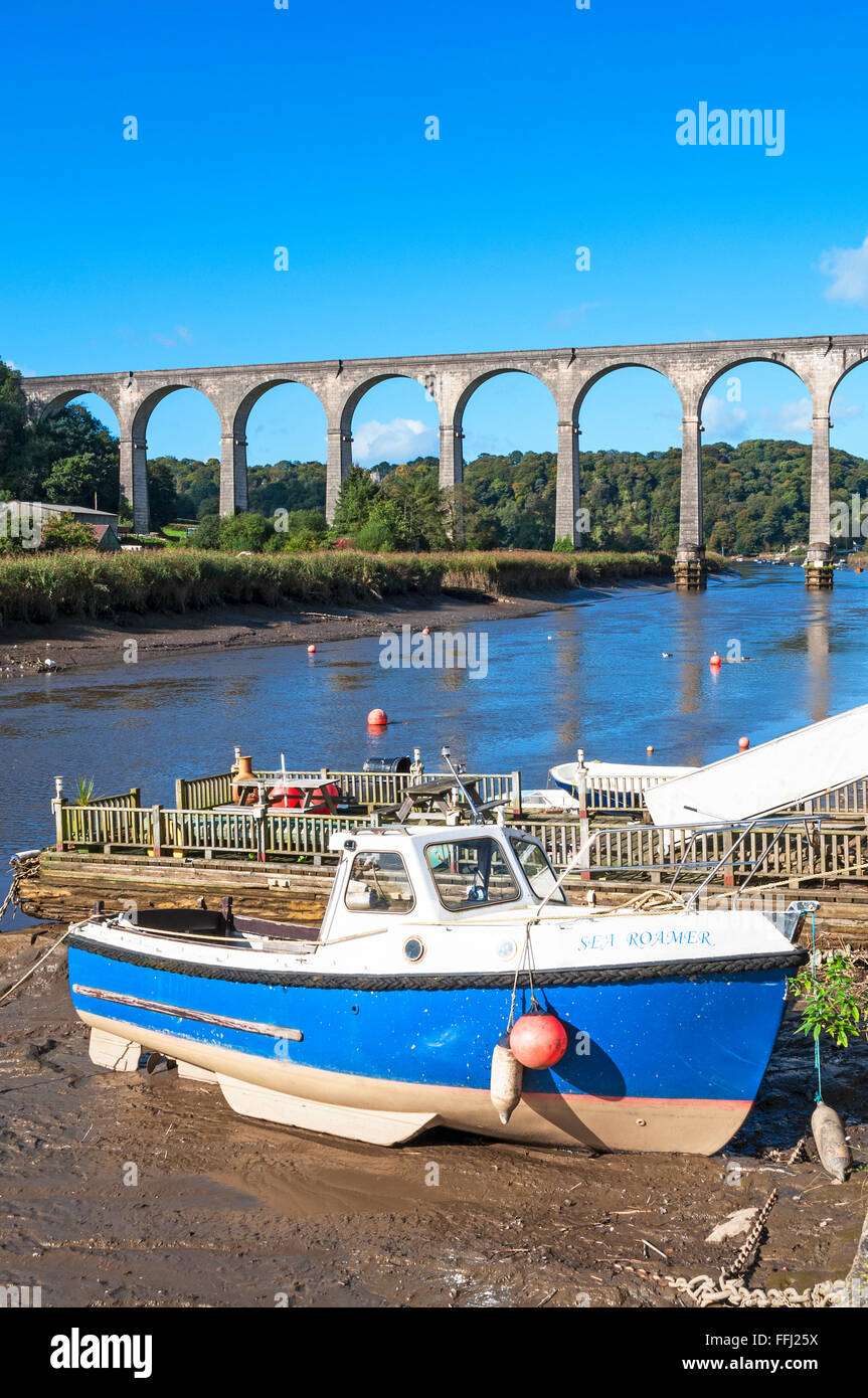 Tamar valley hi-res stock photography and images - Alamy