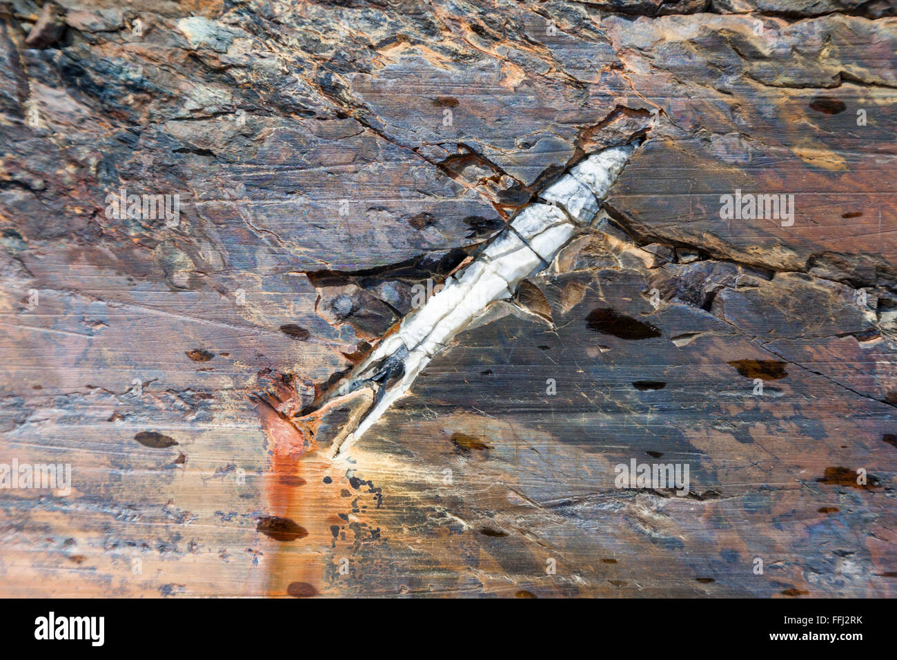 Fossil Patagonia Argentina Rocks Stock Photo - Alamy