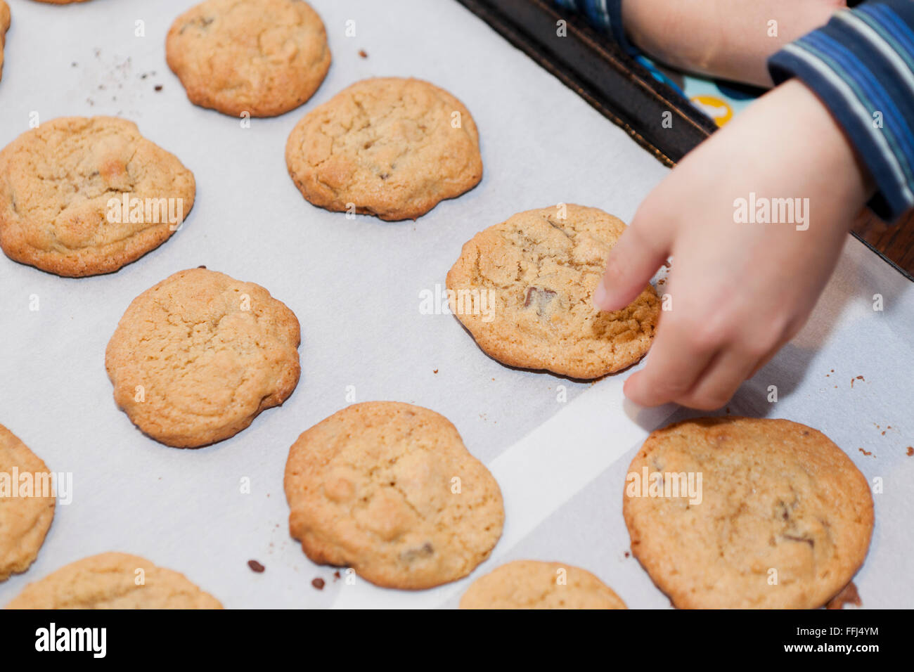 Boy picking up freshly baked cookie from baking pan - USA Stock Photo ...