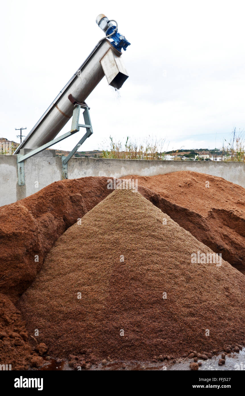 Olive press cake, or olive mill pomace, a byproduct of olive oil ...