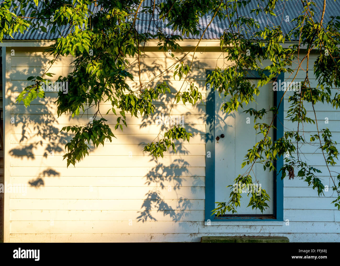 Tree branches fence wall shadow hi-res stock photography and images - Alamy
