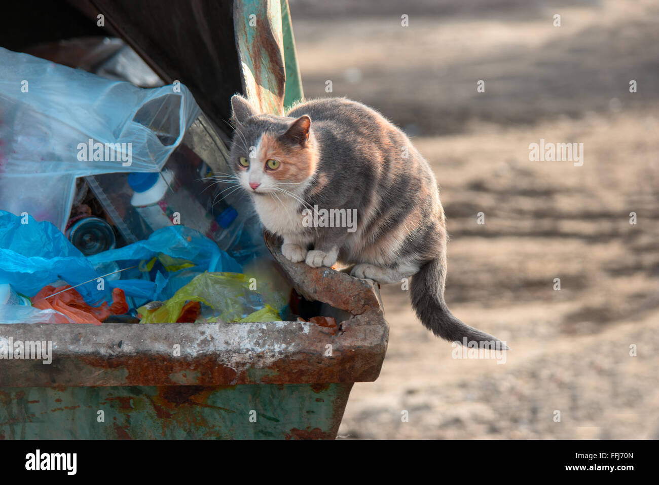 Homeless trash bin hi-res stock photography and images - Alamy