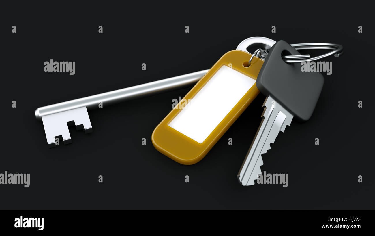 Blank key tag and keys isolated on white Stock Photo - Alamy