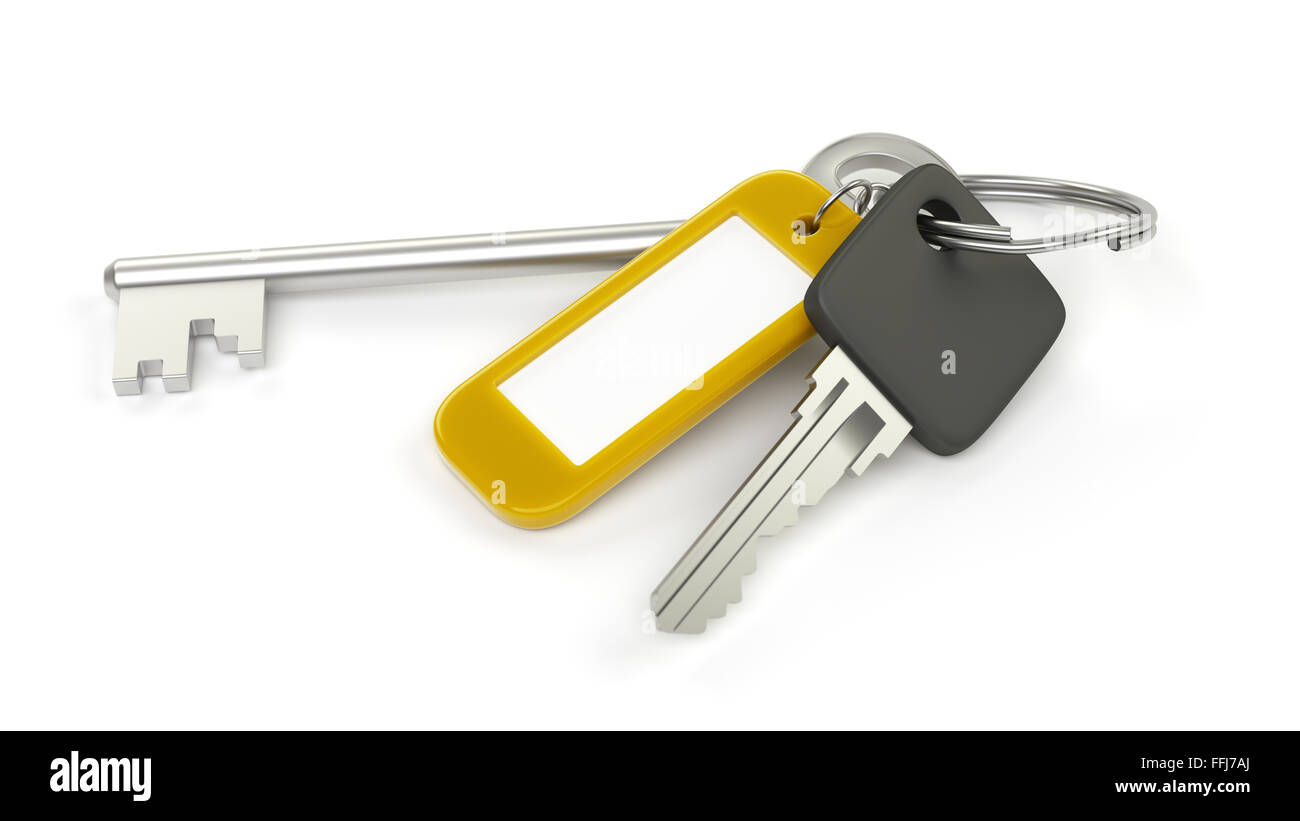 Blank key tag and keys isolated on white Stock Photo - Alamy