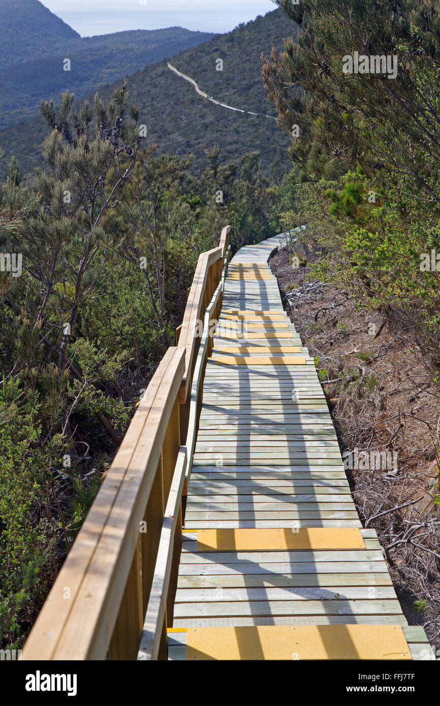 Boardwalk section of the Three Capes Track Stock Photo - Alamy