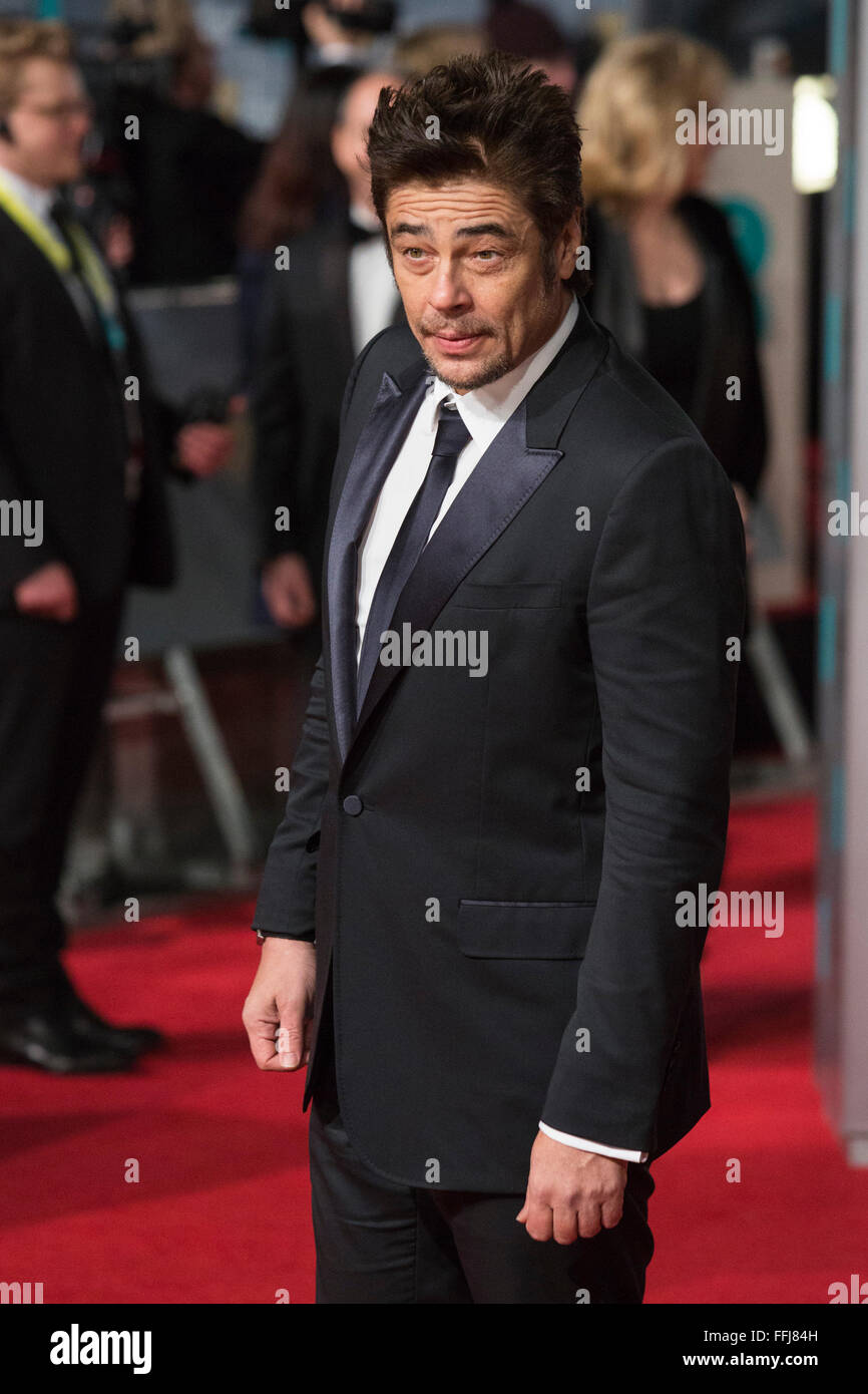 Actor benicio del toro hi-res stock photography and images - Alamy