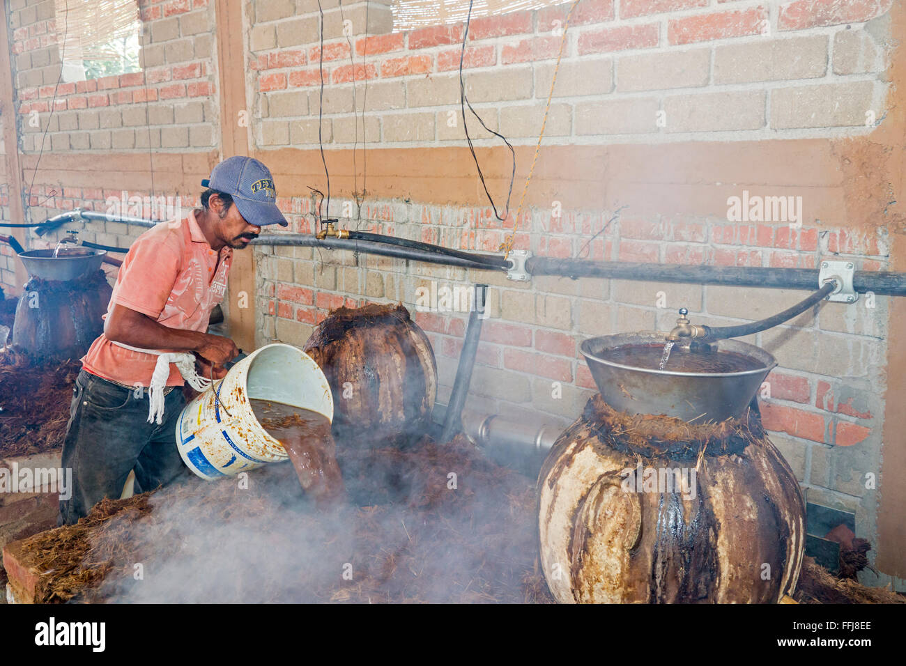 Mezcal distillery. A worker pours the crushed pulp of the maguey plant ...