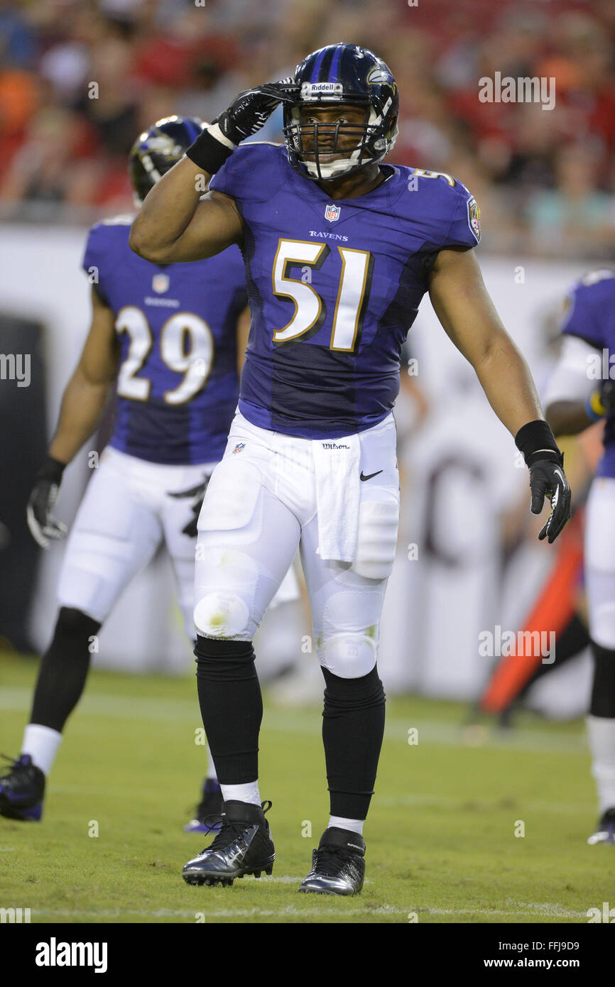 Tampa, FL, USA. 8th Aug, 2013. Baltimore Ravens outside linebacker ...