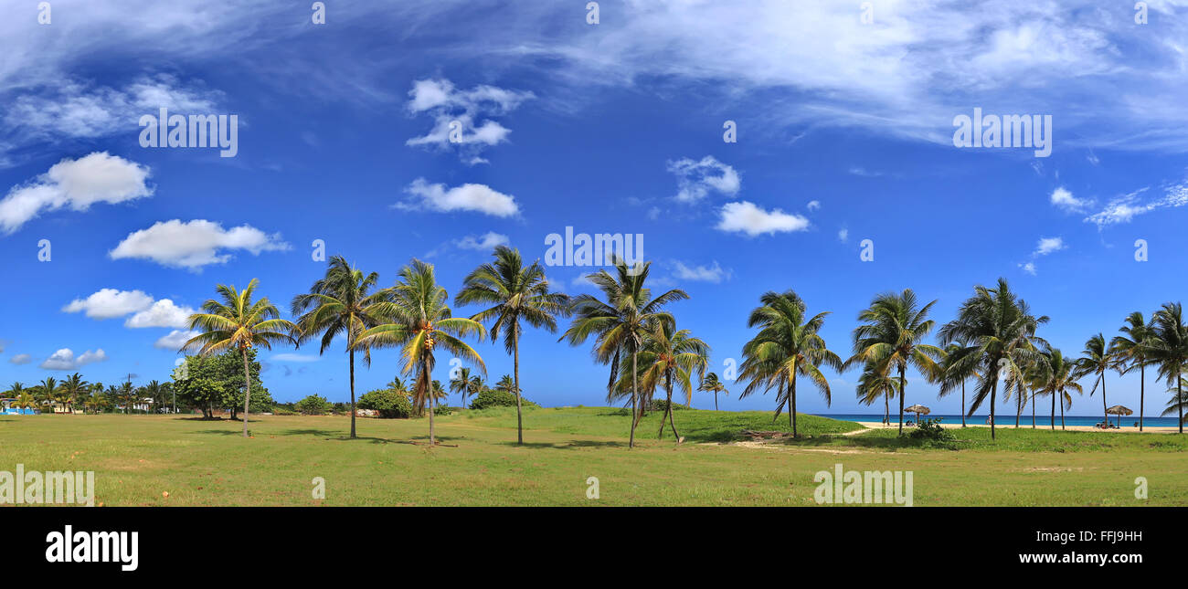 Caribbean tropical beach with beautiful white sand, turquoise water and ...